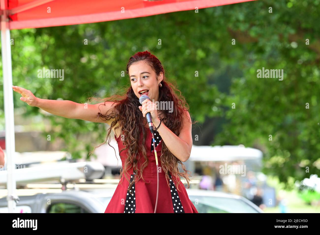 Female Signer in Red Dress Stock Photo - Alamy