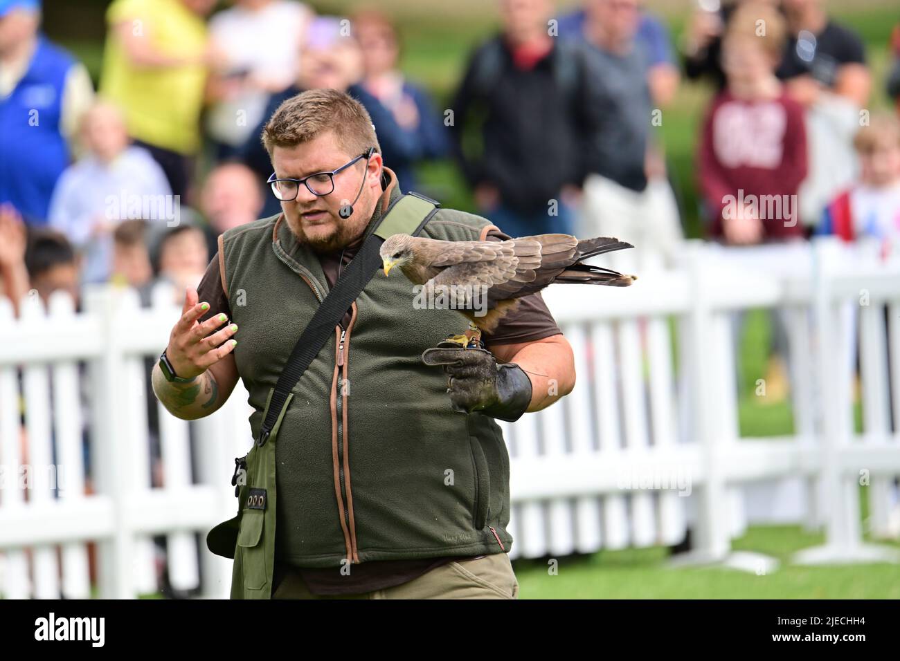 Falconry Expert handler with Bird of Prey Stock Photo - Alamy