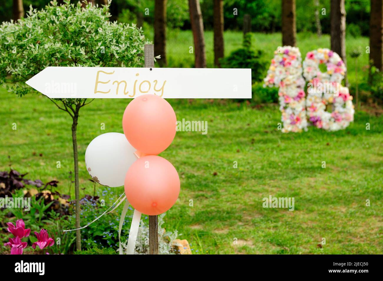celebration, party time, party, outdoor, garden, garden party Stock ...