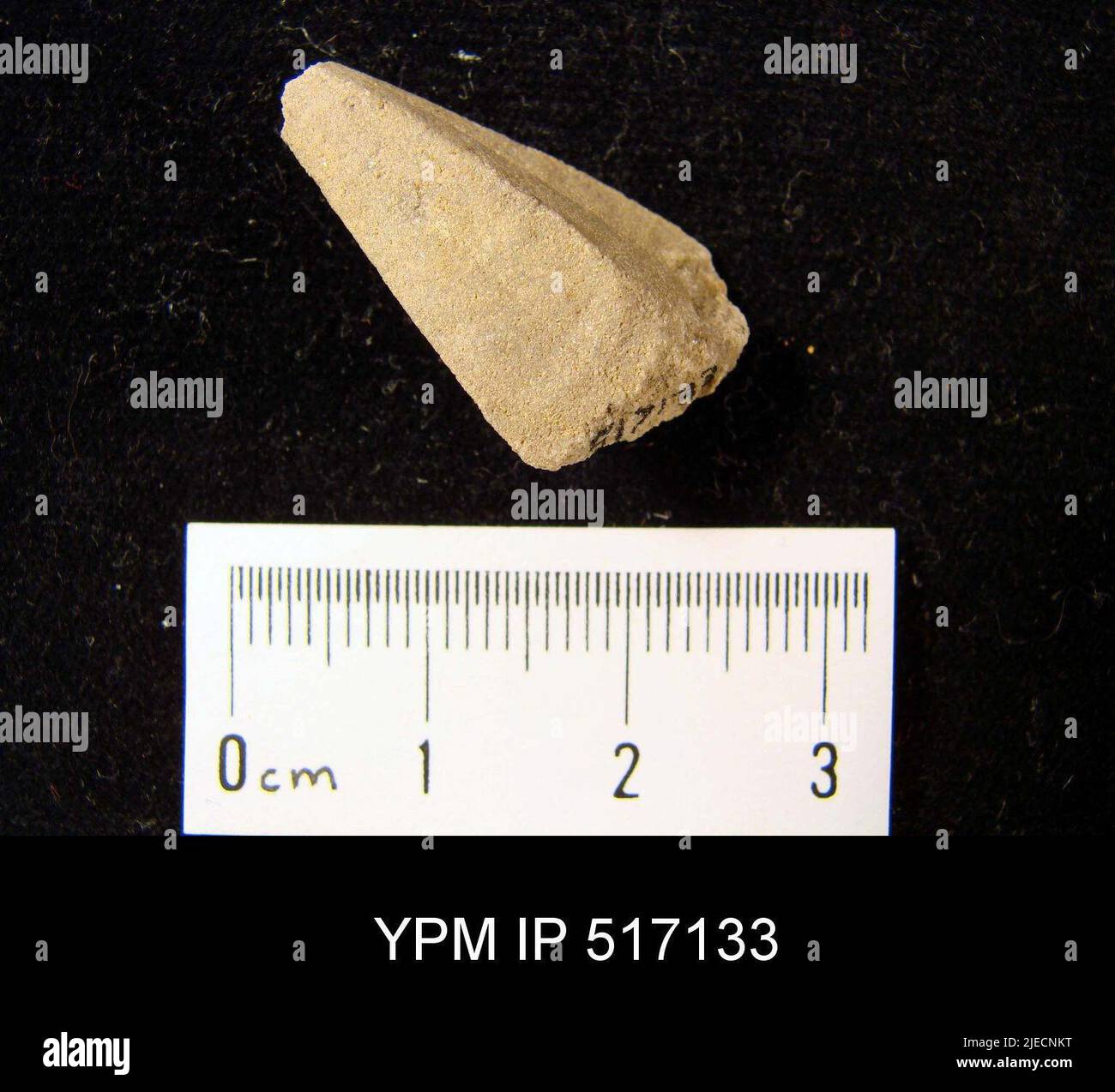 1867 animalia hi-res stock photography and images - Alamy