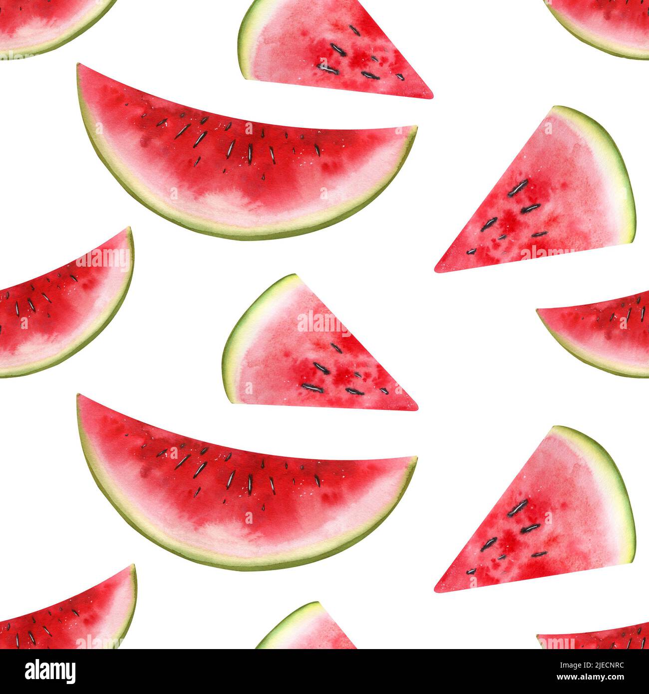 Watermelon slices are red on a white background. Watercolor ...