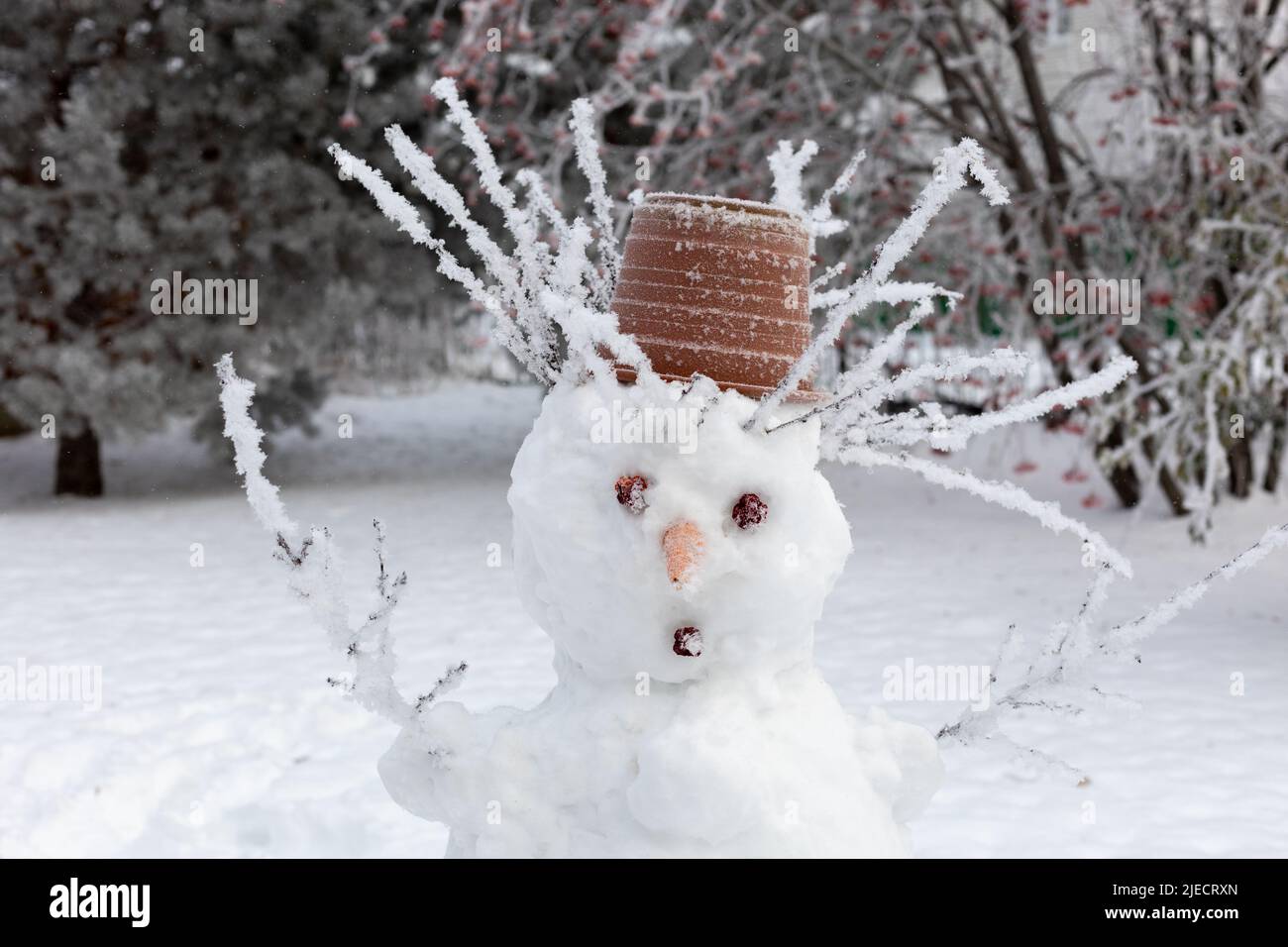 Surprised hand made snow man outside with carrot and cones instead of ...
