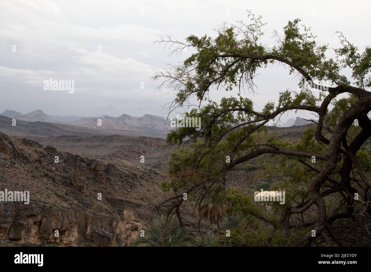Walking around the date palm groves all around the Misfat al Abriyeen ...