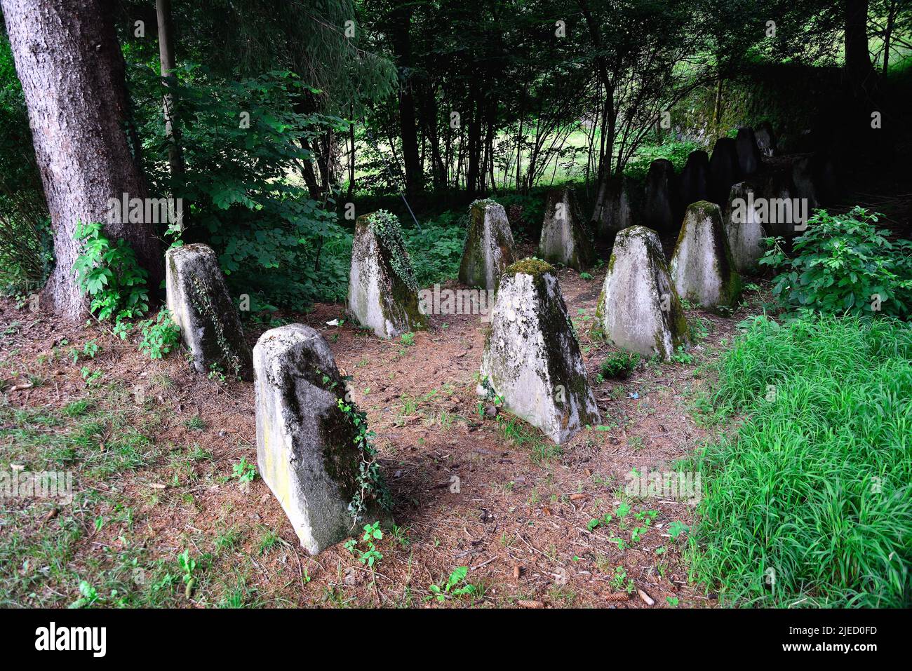 Italy, Friuli Venezia Giulia, But Valley, Paluzza. The Alpine Wall ...