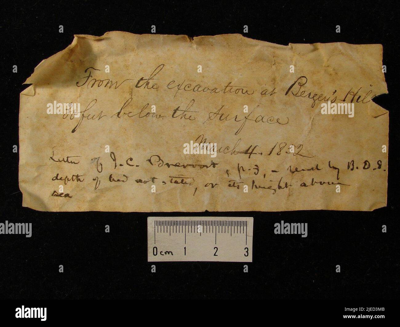 Unionidae hi-res stock photography and images - Alamy