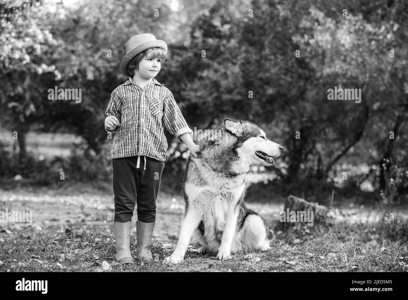 Little kids walking together with their pet dog outdoors. Kids having ...