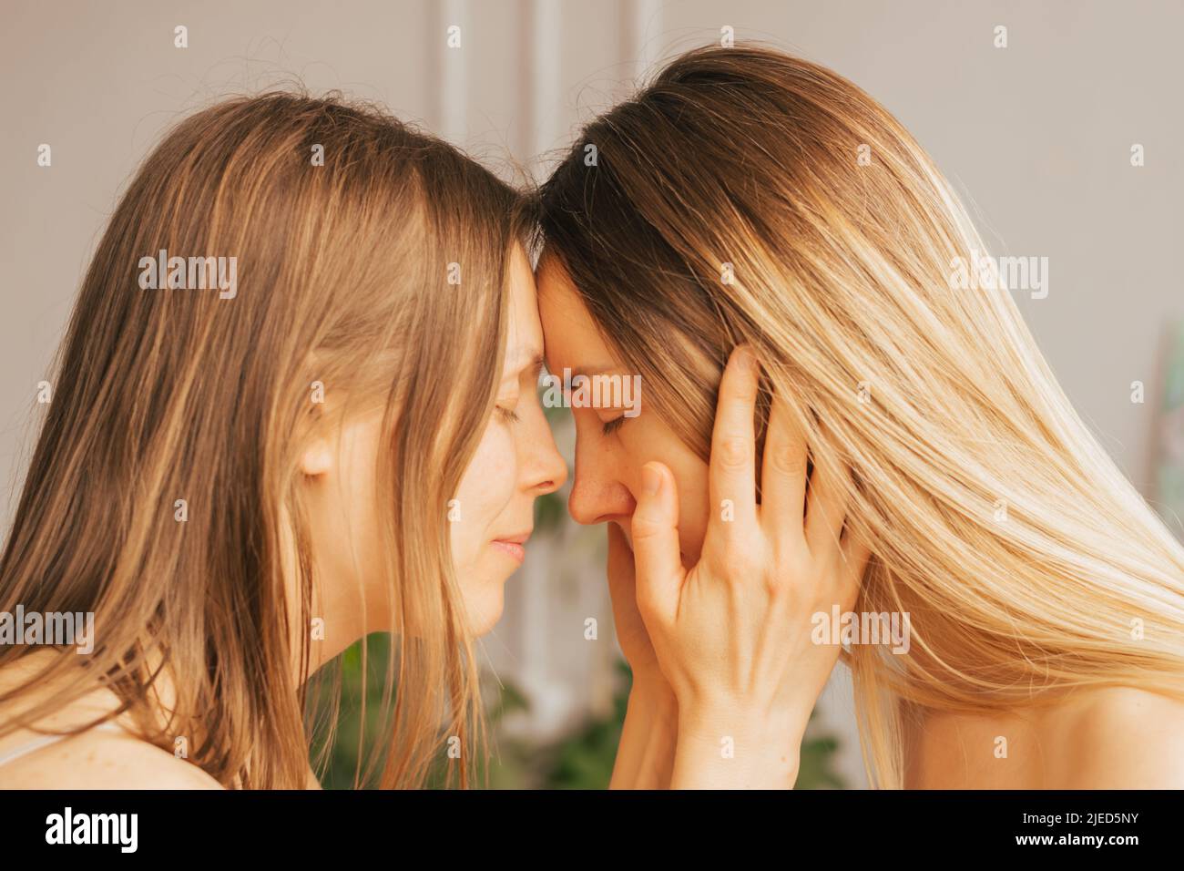 Two women touch each other's foreheads. Women's health, relaxation ...