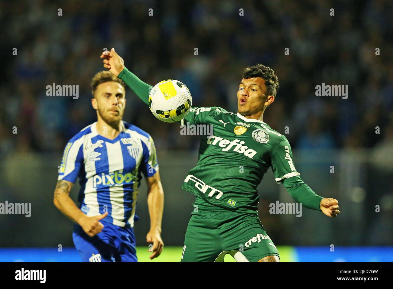 Matheus bressan hi-res stock photography and images - Alamy