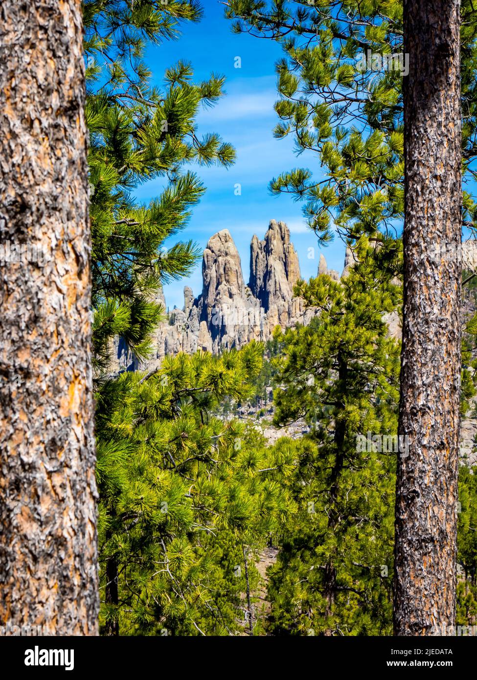 Scenery along the Needles Highway in Custer State Park in the Black ...