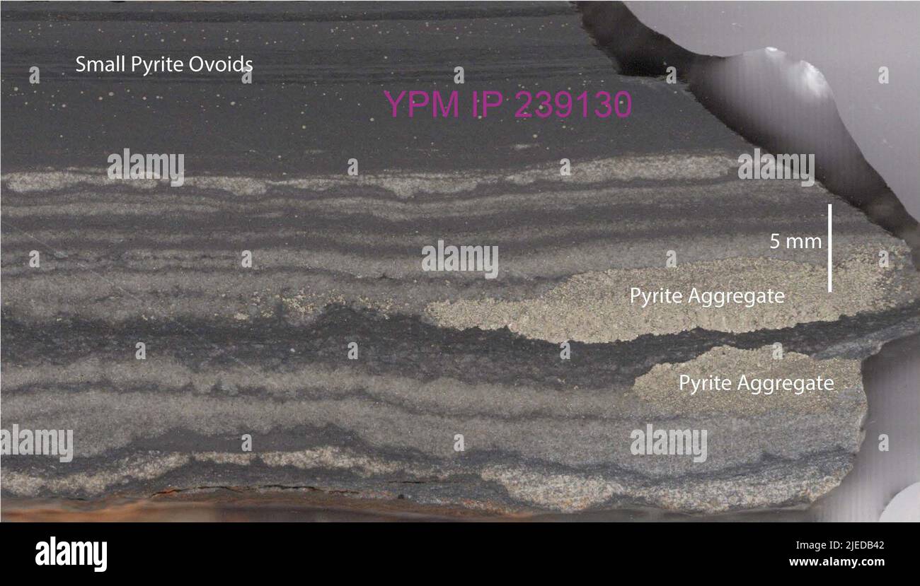 Lithologic hi-res stock photography and images - Alamy