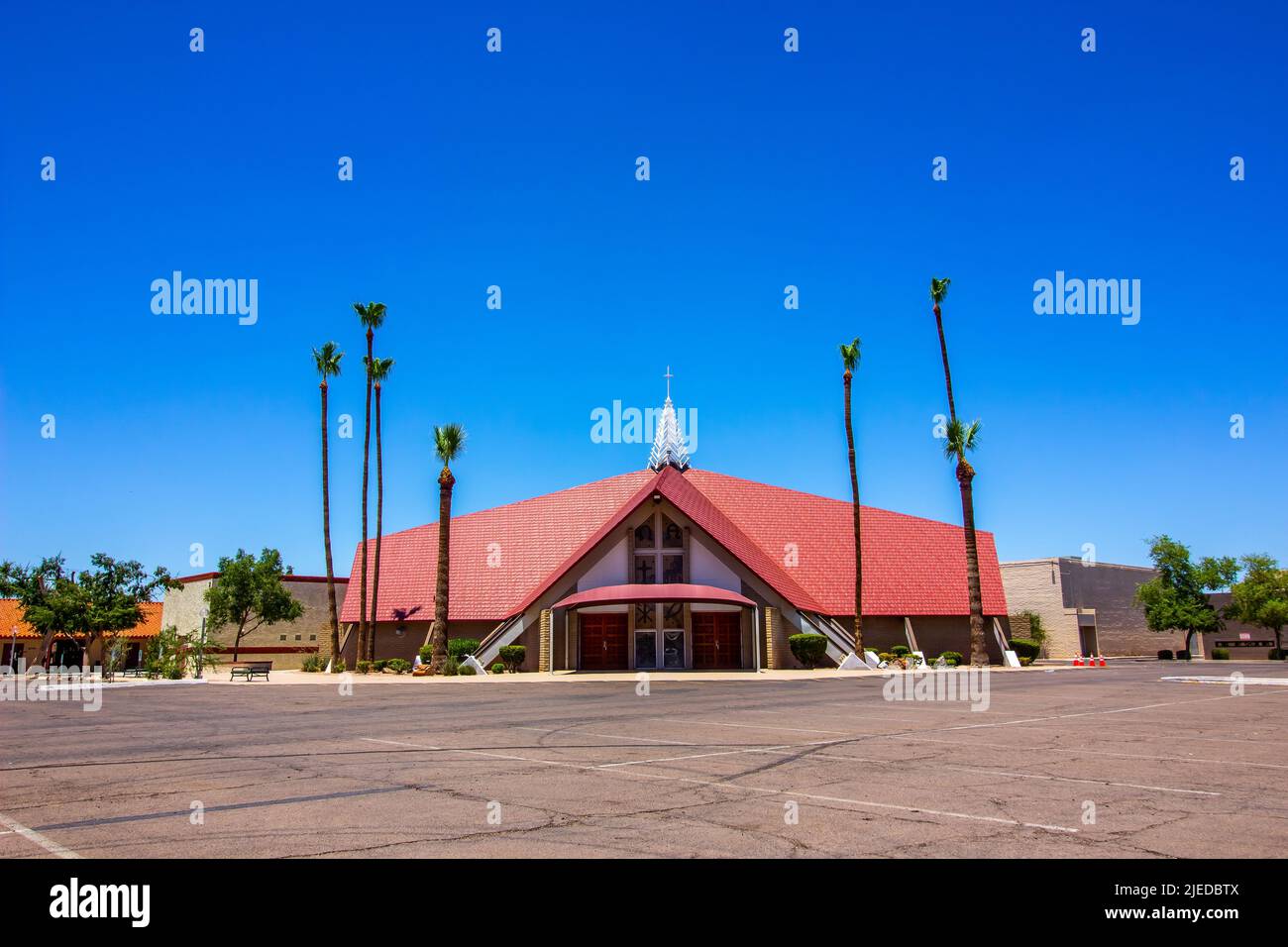 Parking lot palm trees hi-res stock photography and images - Alamy