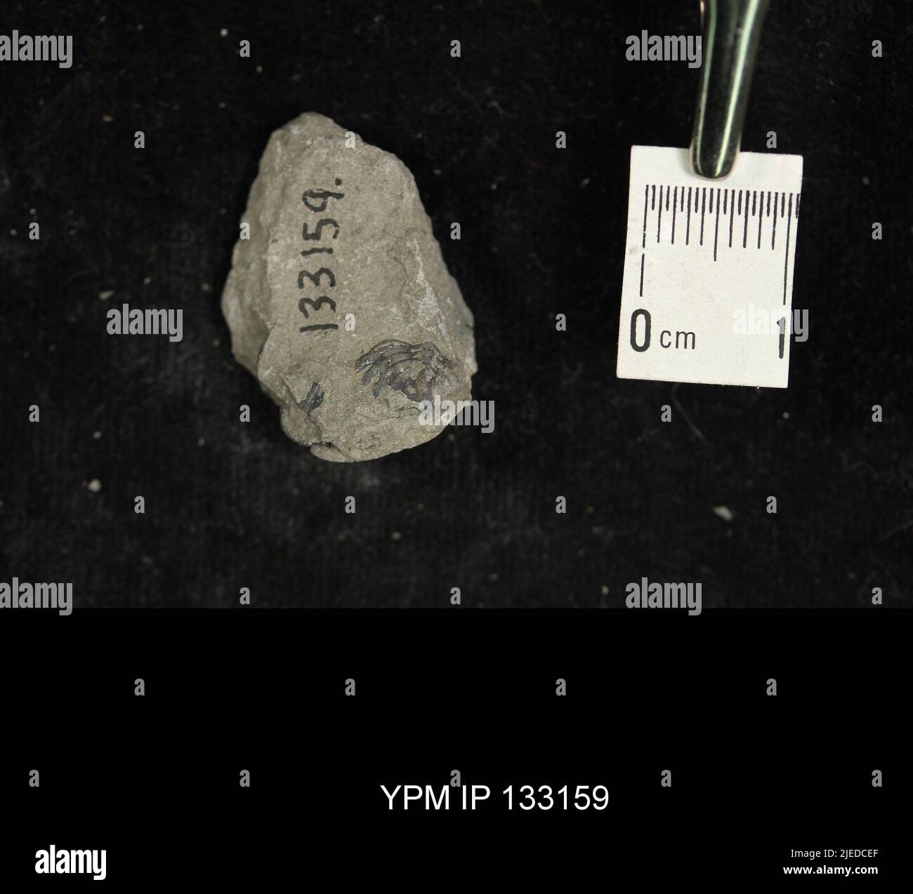 Boothi hi-res stock photography and images - Alamy