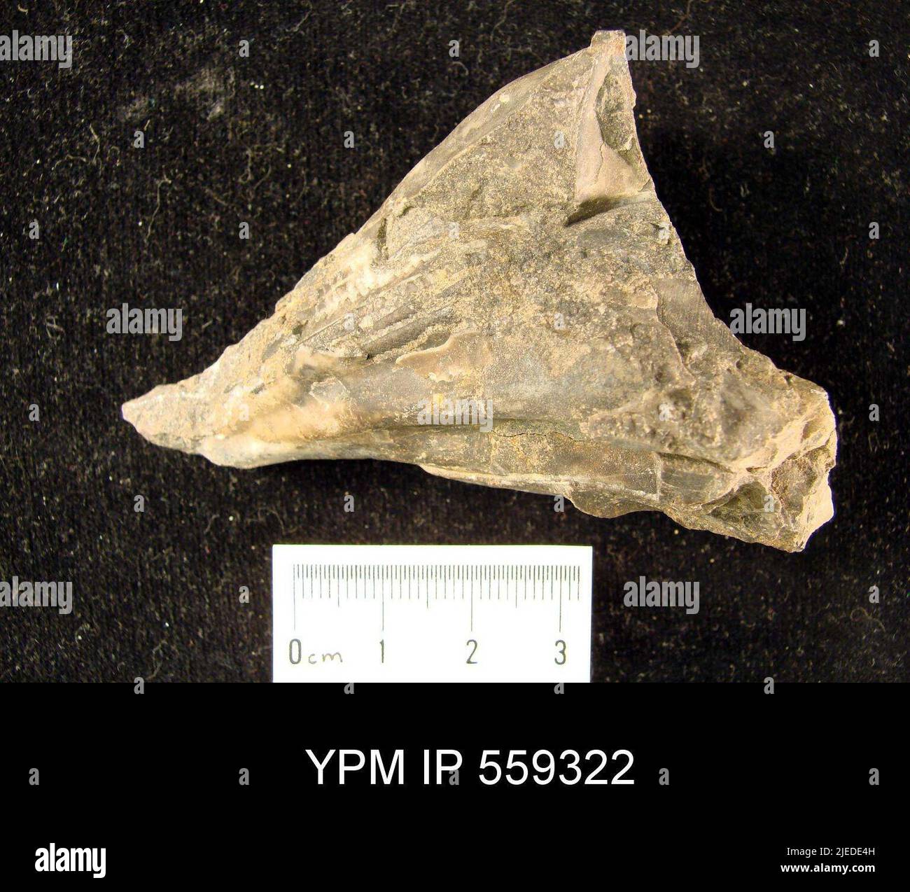 Perner hi-res stock photography and images - Alamy