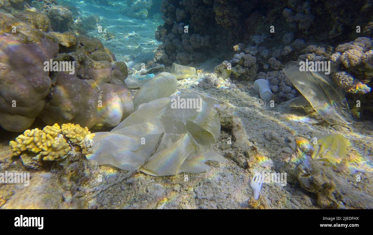 Red Sea, Egypt. 26th June, 2022. Seabed of beautiful coral reef covered ...