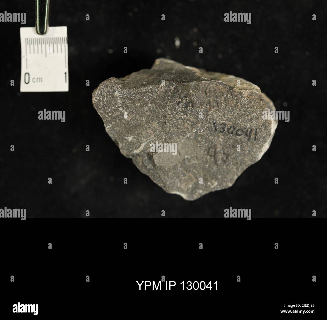 Boothi hi-res stock photography and images - Alamy