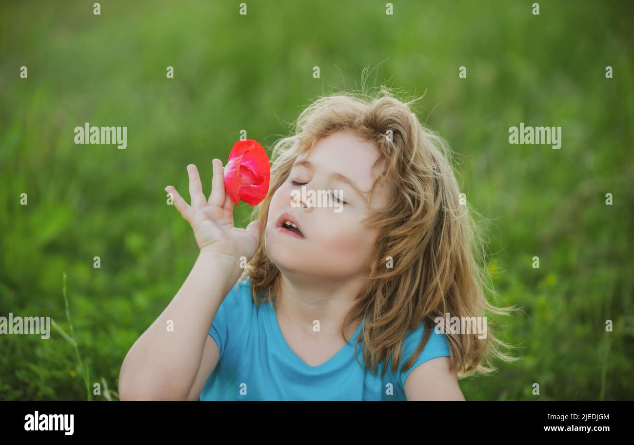 Kids smelling flowers, close up head of cute child in summer nature ...