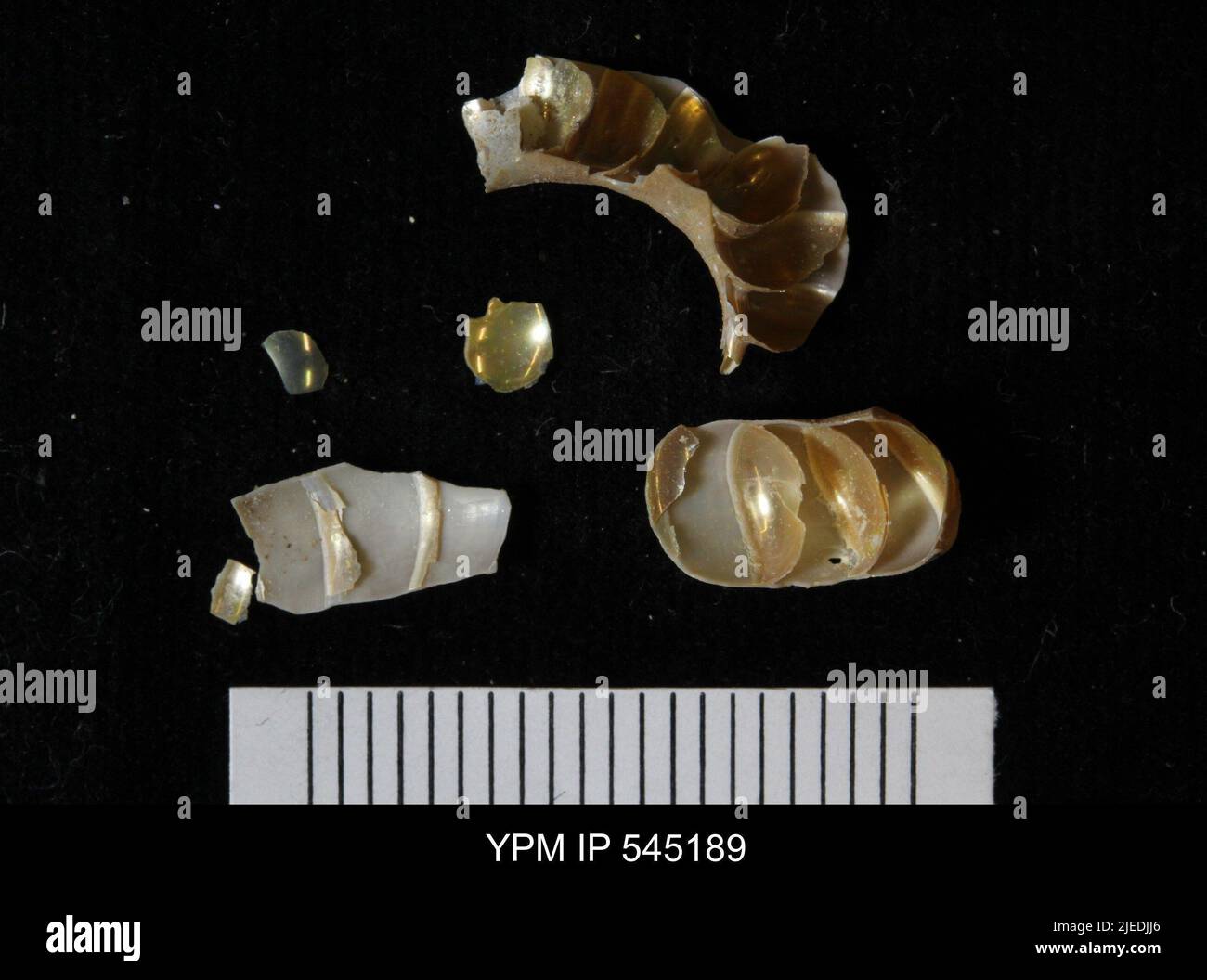 Spiruli hi-res stock photography and images - Alamy