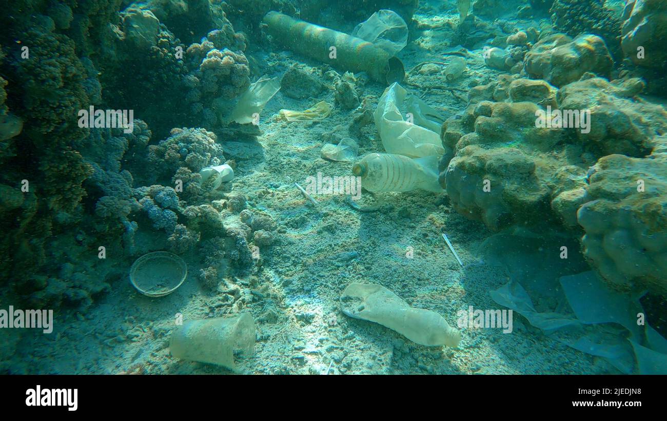 Red Sea, Egypt. 26th June, 2022. Seabed of beautiful coral reef covered ...