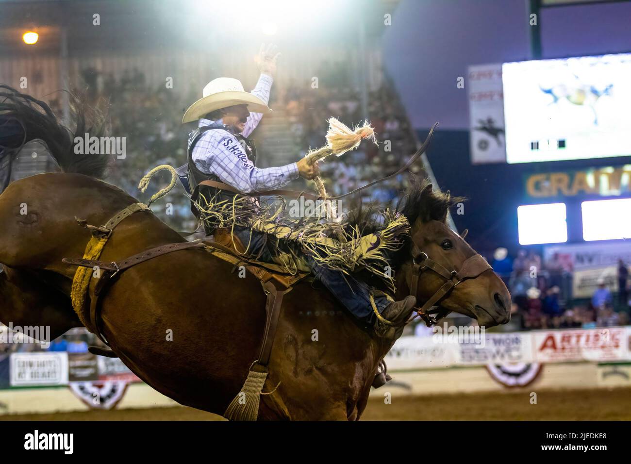Reno, United States. 25th June, 2022. Statler Ray Wright Saddle Bronc ...