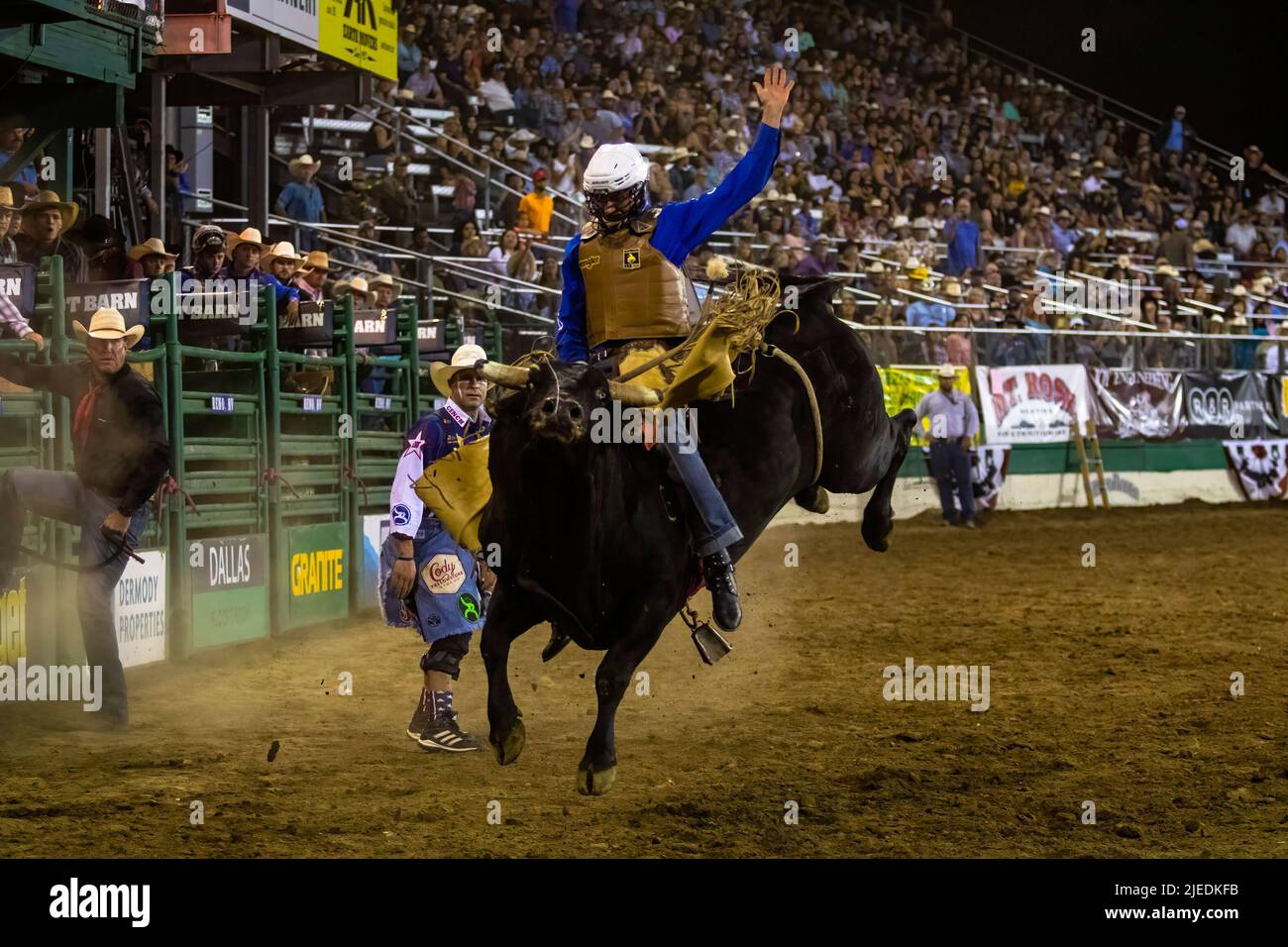 Reno, United States. 25th June, 2022. Creek Young 2022 Reno Rodeo Bull ...