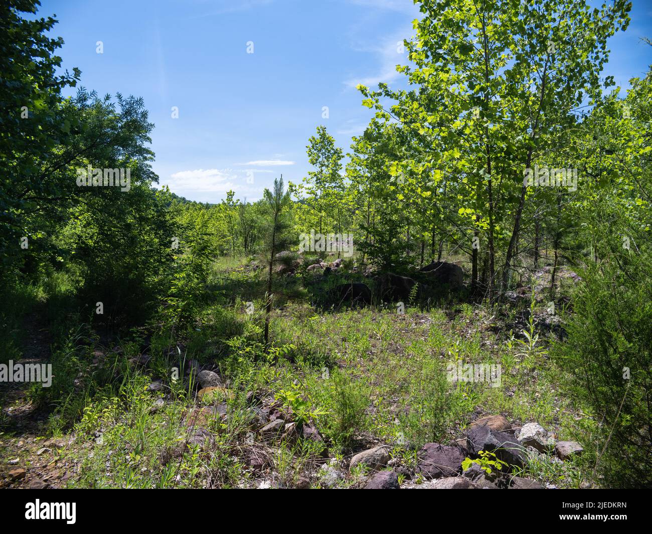 Scour trail at Johnson's Shut-Ins State Park Stock Photo - Alamy