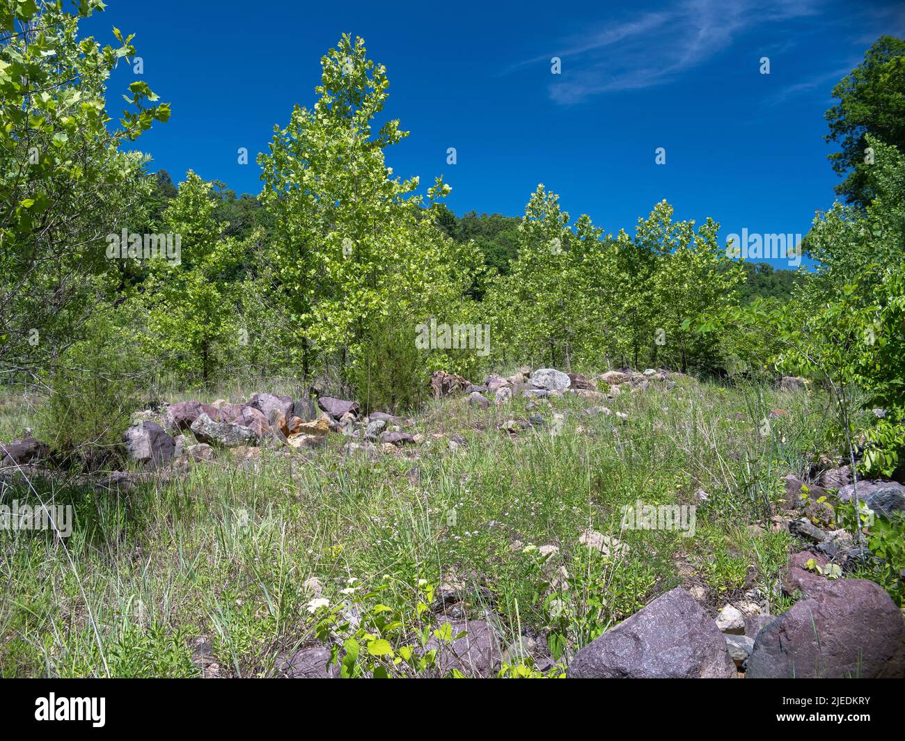 Scour trail at Johnson's Shut-Ins State Park Stock Photo - Alamy