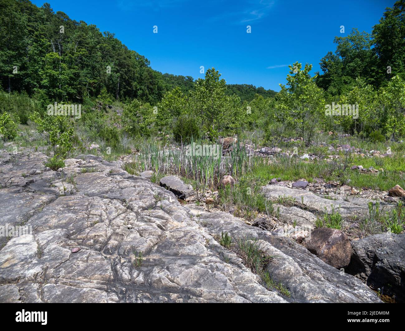 Scour trail at Johnson's Shut-Ins State Park Stock Photo - Alamy