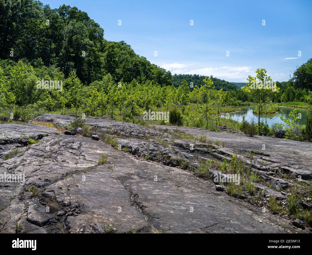 Scour trail at Johnson's Shut-Ins State Park Stock Photo - Alamy