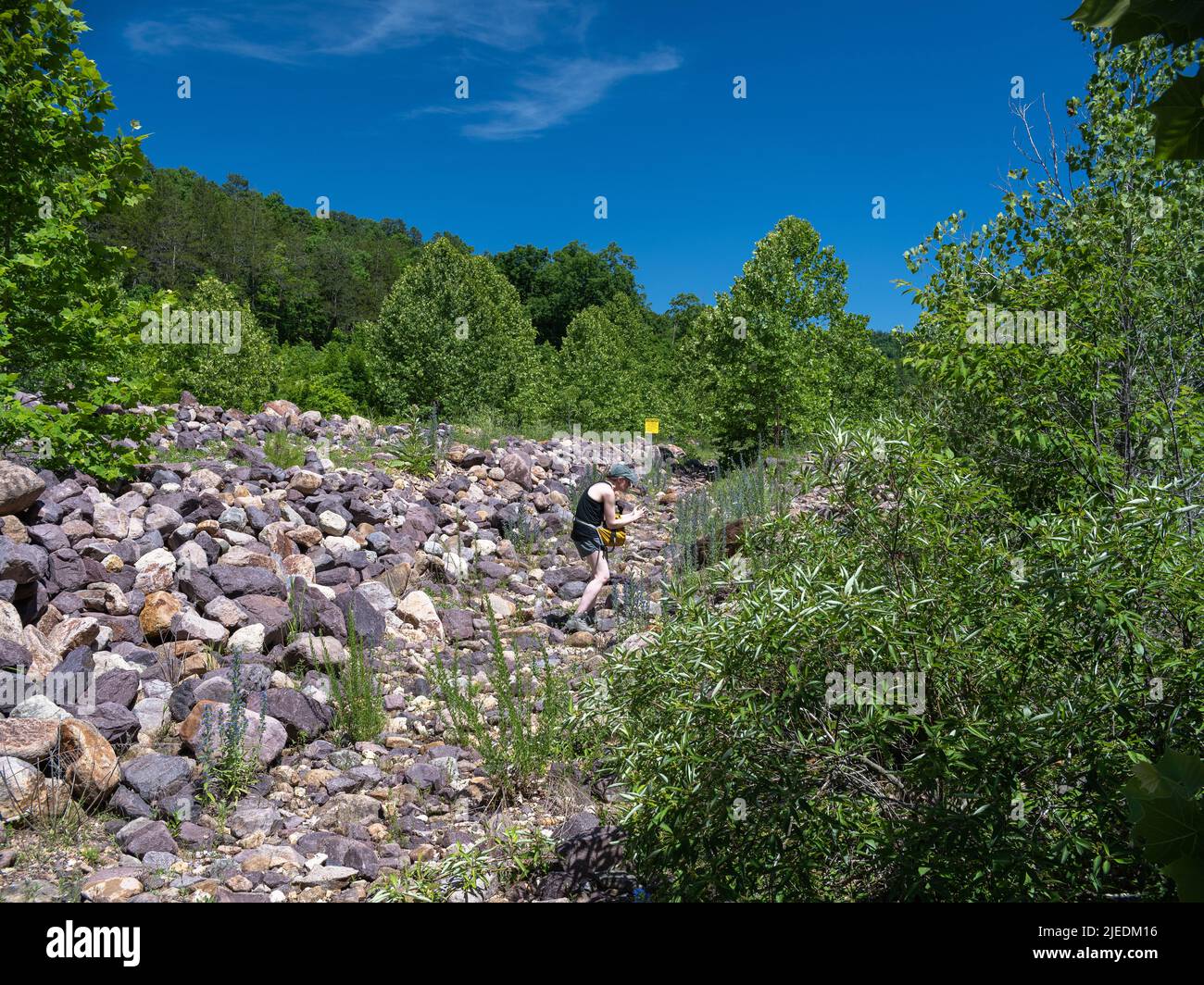Scour trail at Johnson's Shut-Ins State Park Stock Photo - Alamy