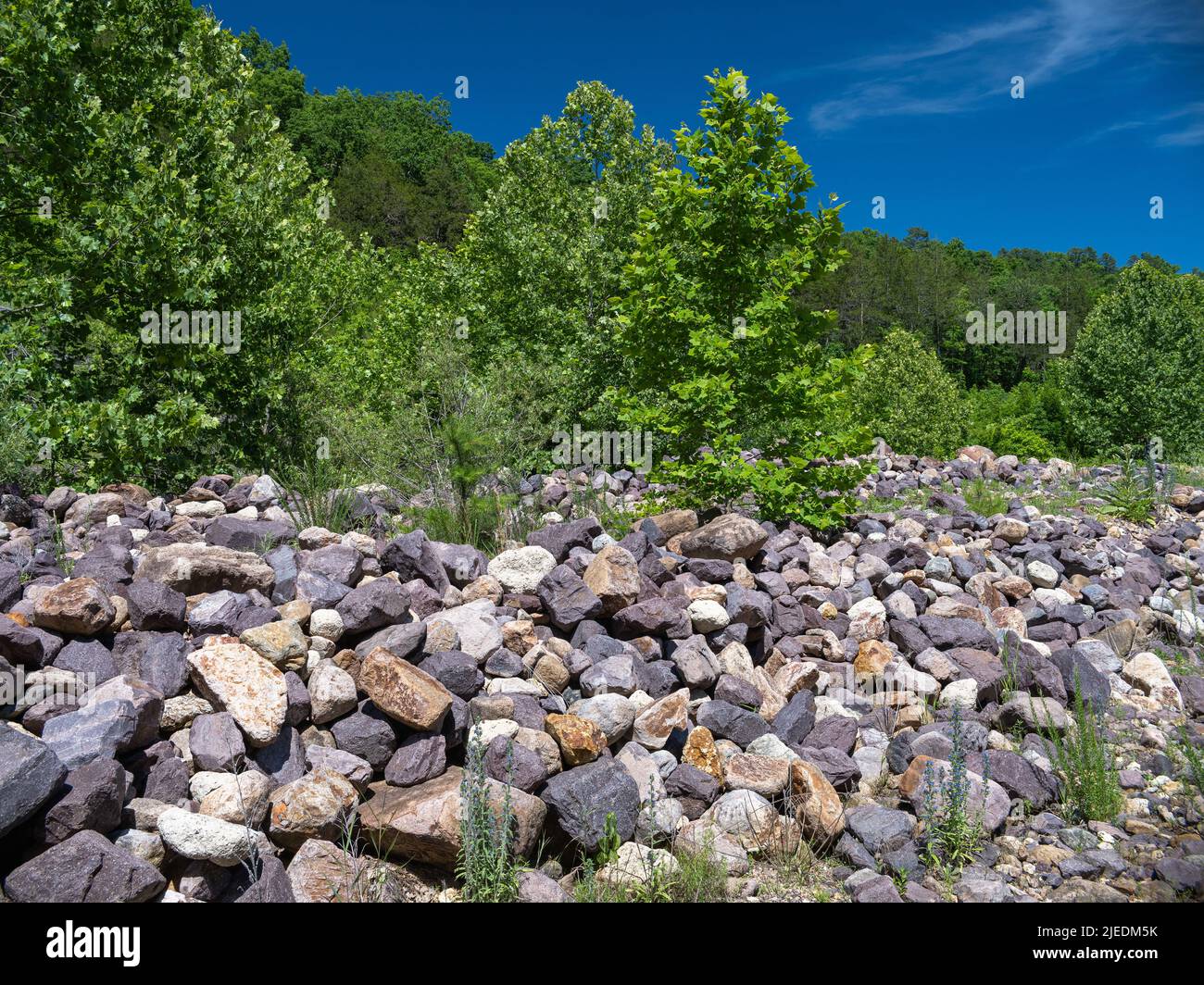 Scour trail at Johnson's Shut-Ins State Park Stock Photo - Alamy