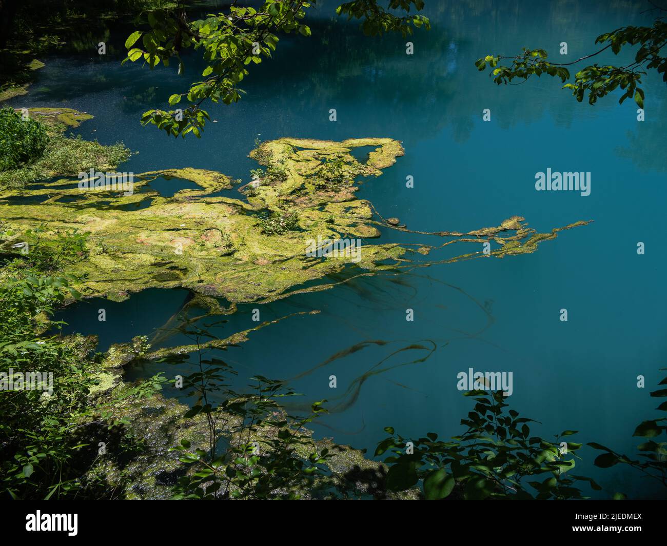 Alley spring state park hi-res stock photography and images - Alamy