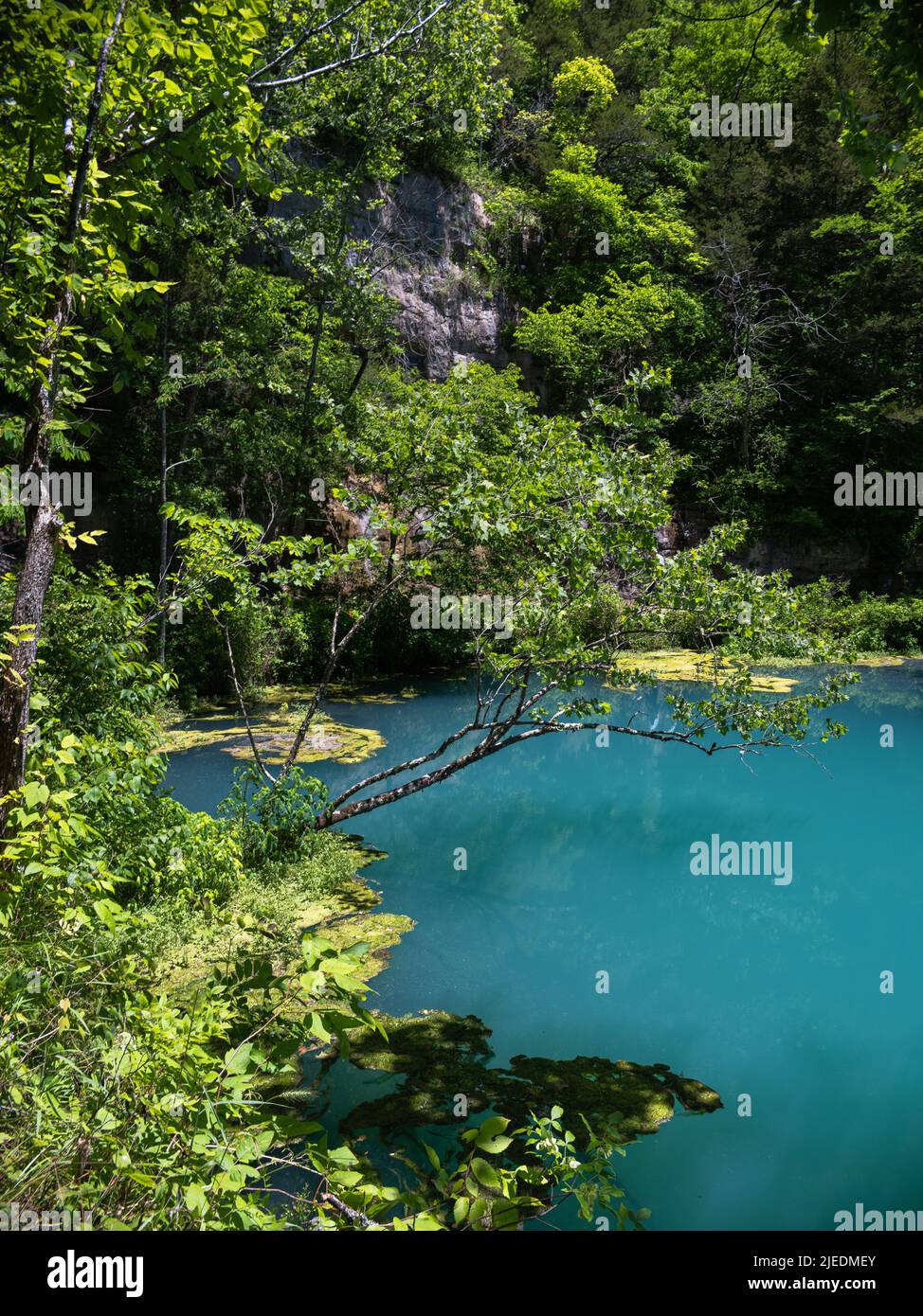 Alley spring state park hi-res stock photography and images - Alamy