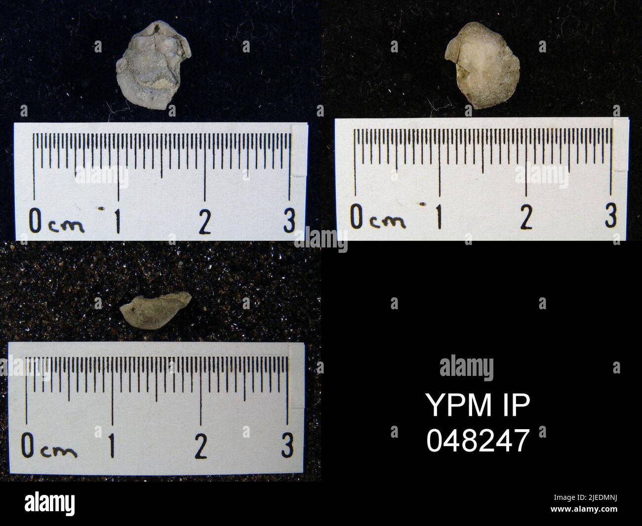 Amsden hi-res stock photography and images - Alamy