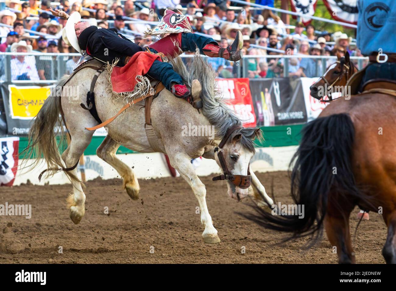 Leighton berry hi-res stock photography and images - Alamy