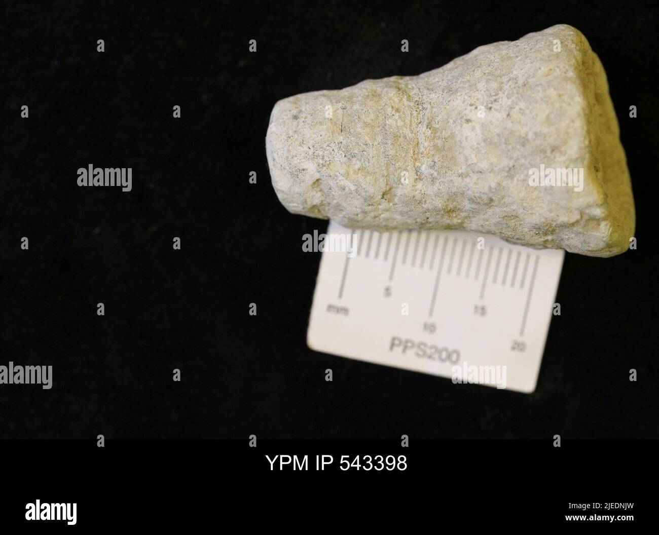 Undet ichnofossil ichnofossil ichnofossils hi-res stock photography and ...