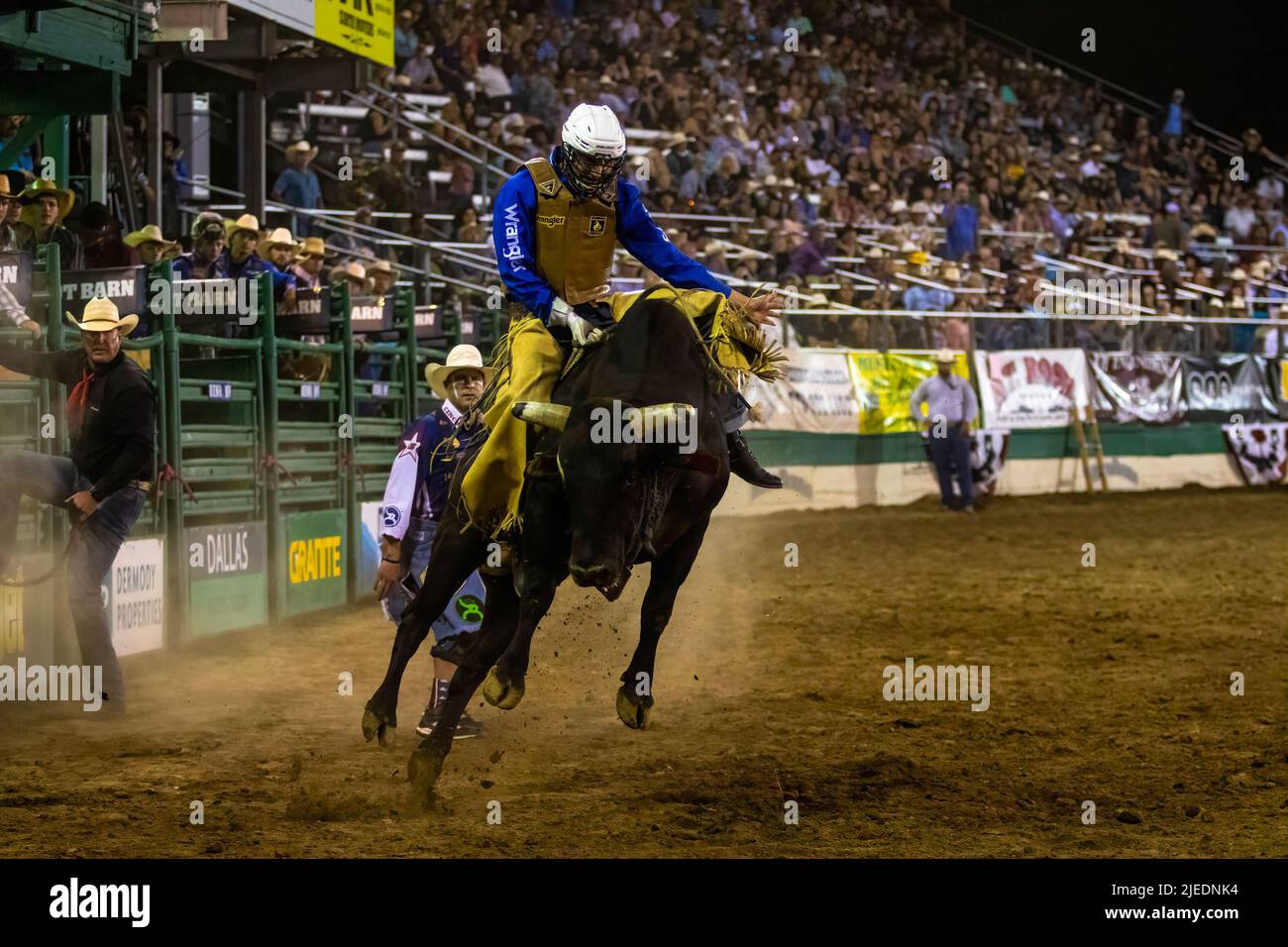 Creek Young 2022 Reno Rodeo Bull Riding champ. (Photo by Ty ONeil ...