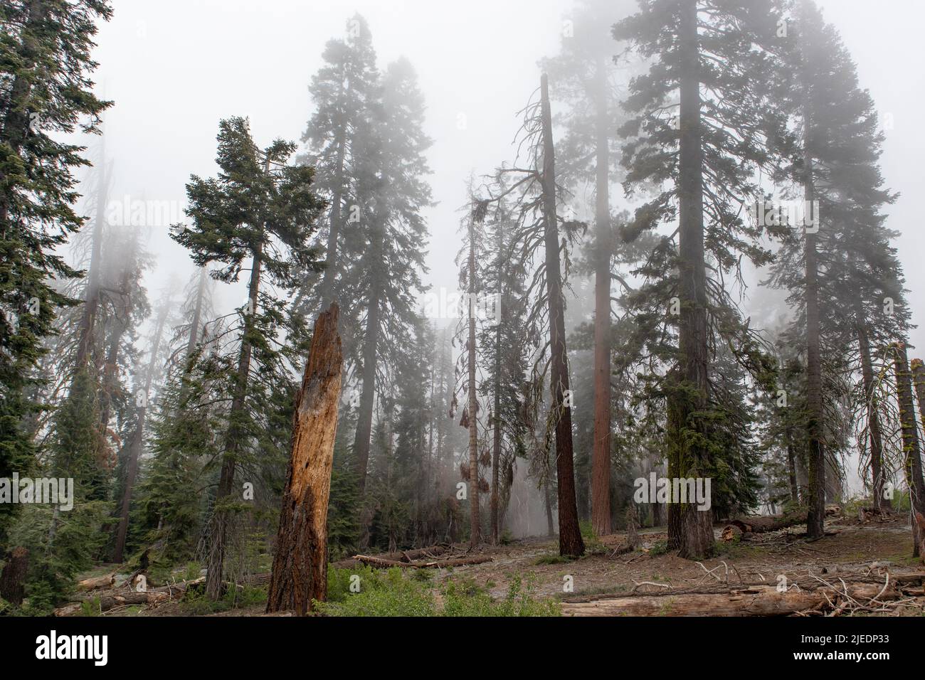 No encroachment hi-res stock photography and images - Alamy