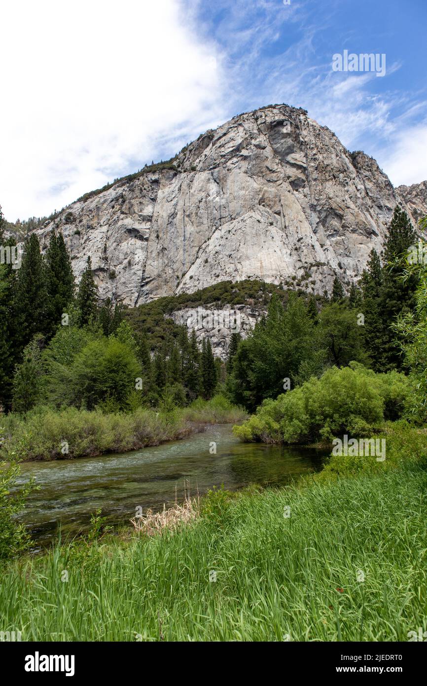 Kings meadow field hi-res stock photography and images - Alamy