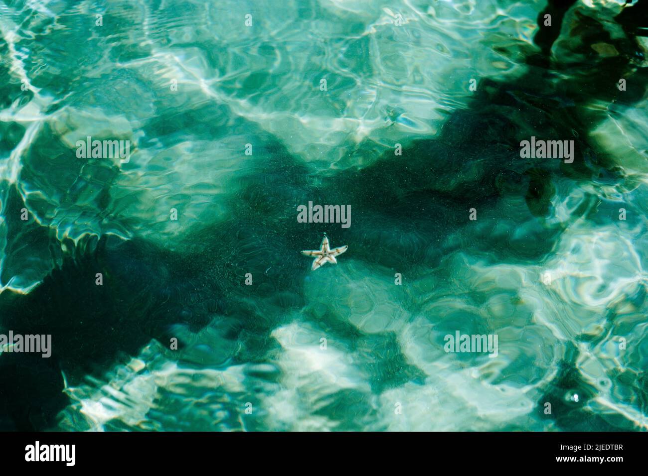 Abstract Real beauty nature background. Ocean bokeh Sea ripple wave ...