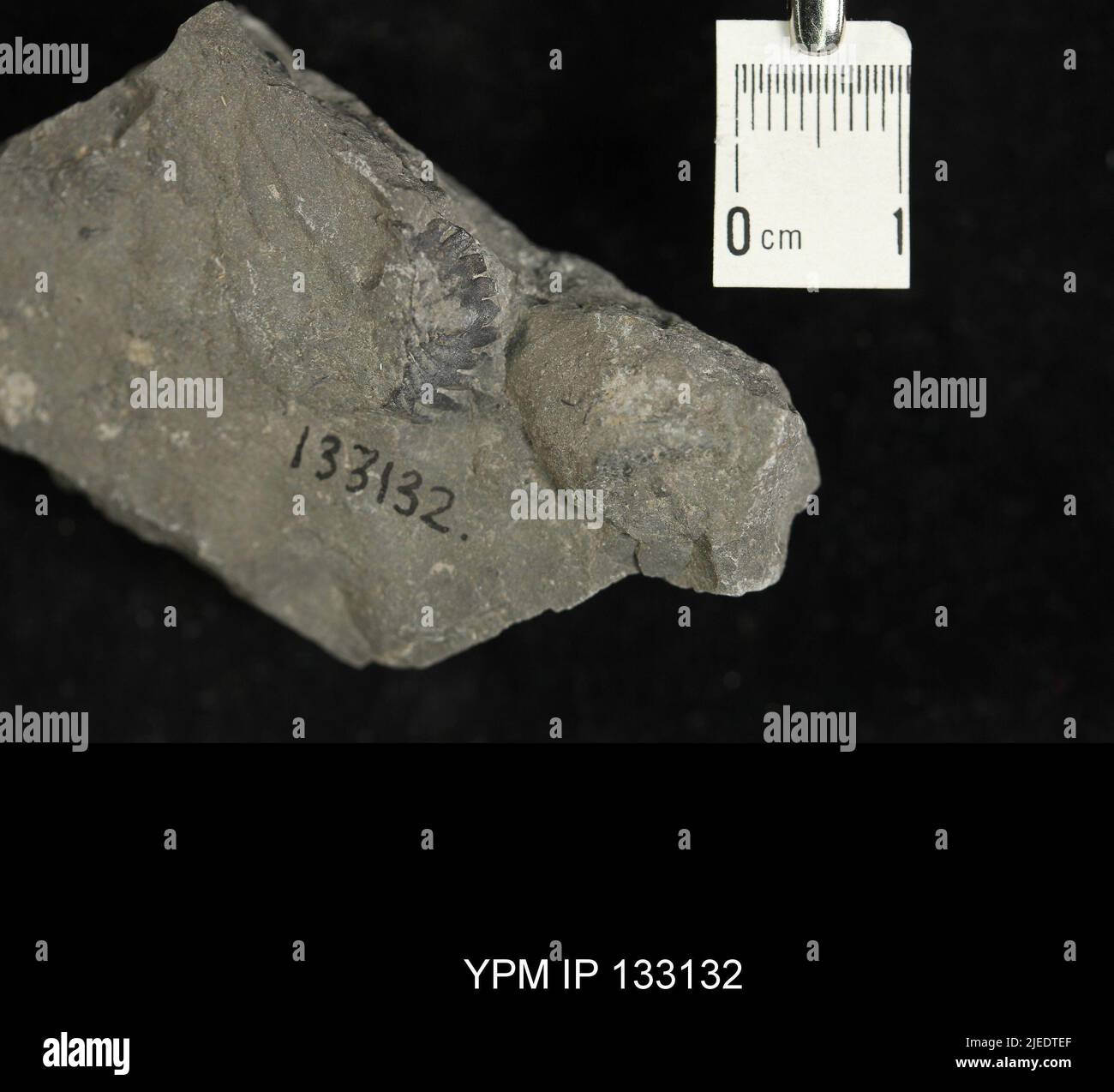 Boothi hi-res stock photography and images - Alamy