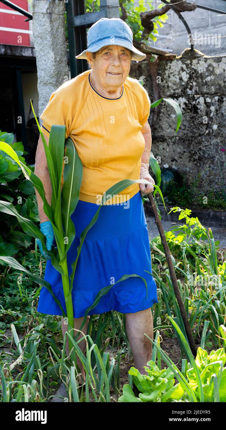 blue wing cocktail Stock Photo - Alamy