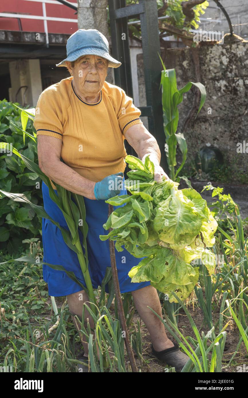 blue wing cocktail Stock Photo - Alamy