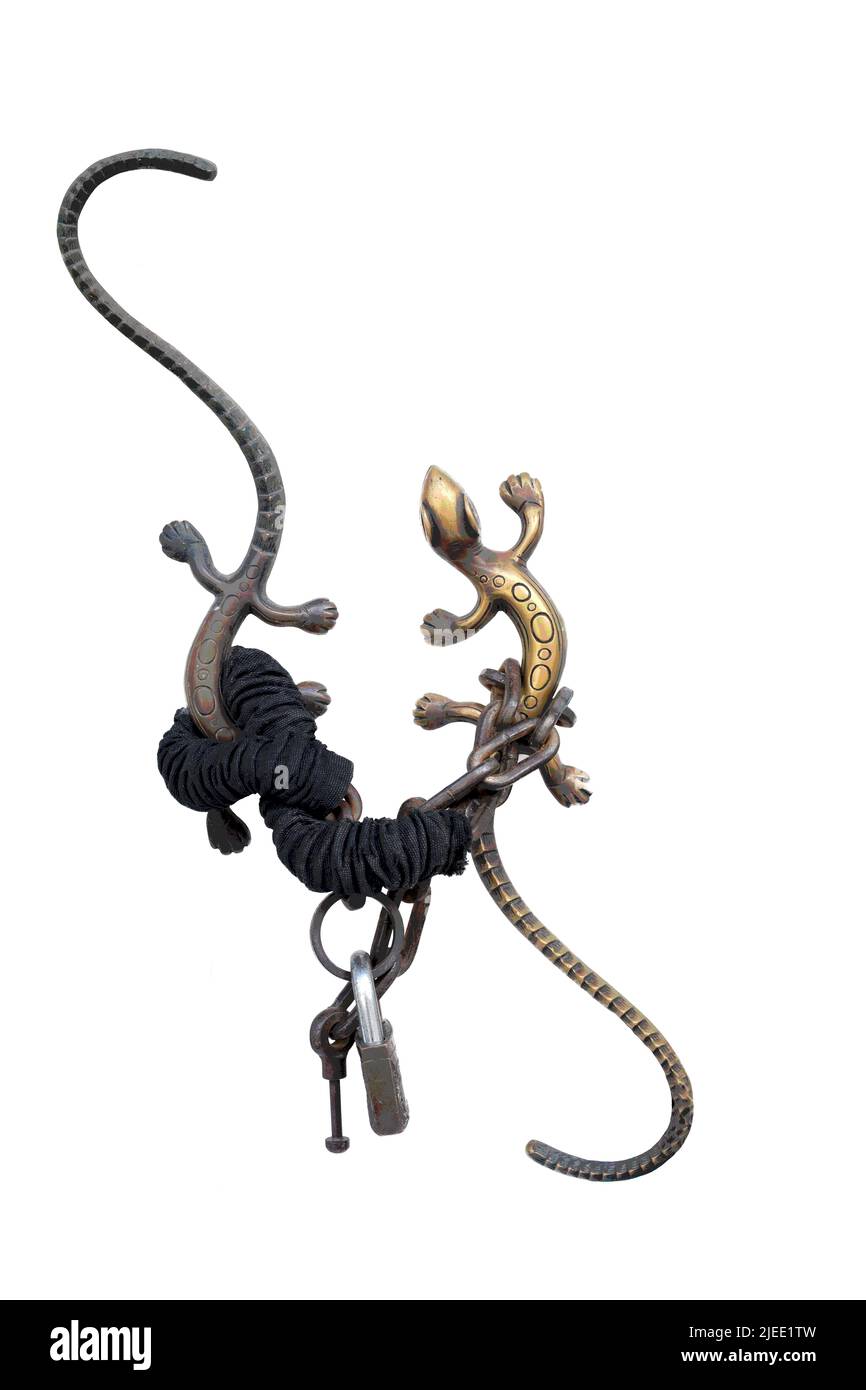 Brass Lizard Door Handle with black twine wrapped around and round key ...