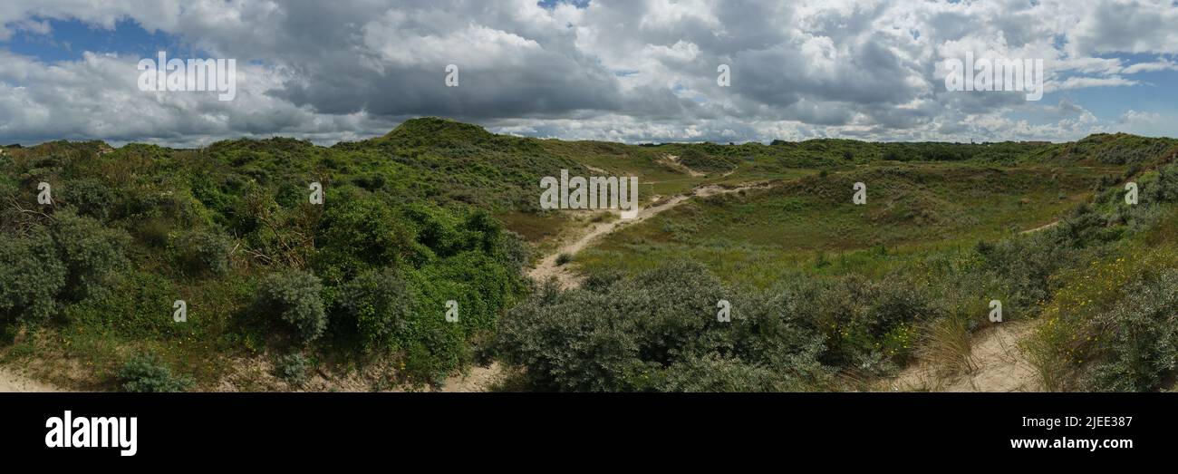 Panoramic view over dune landscape at North Sea with green vegetation ...