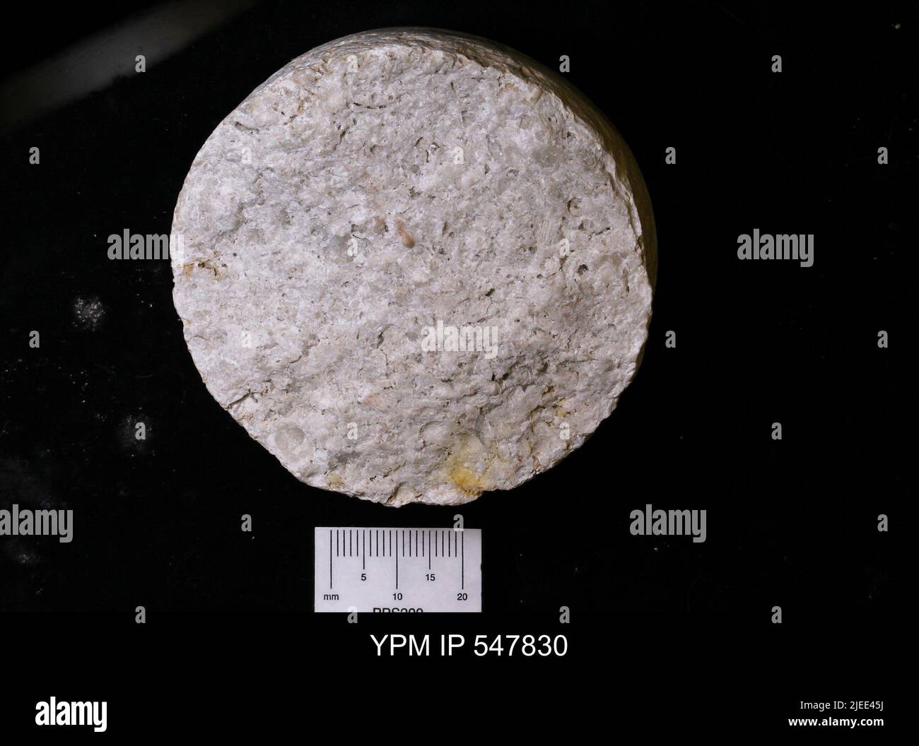 Lithologic hi-res stock photography and images - Alamy