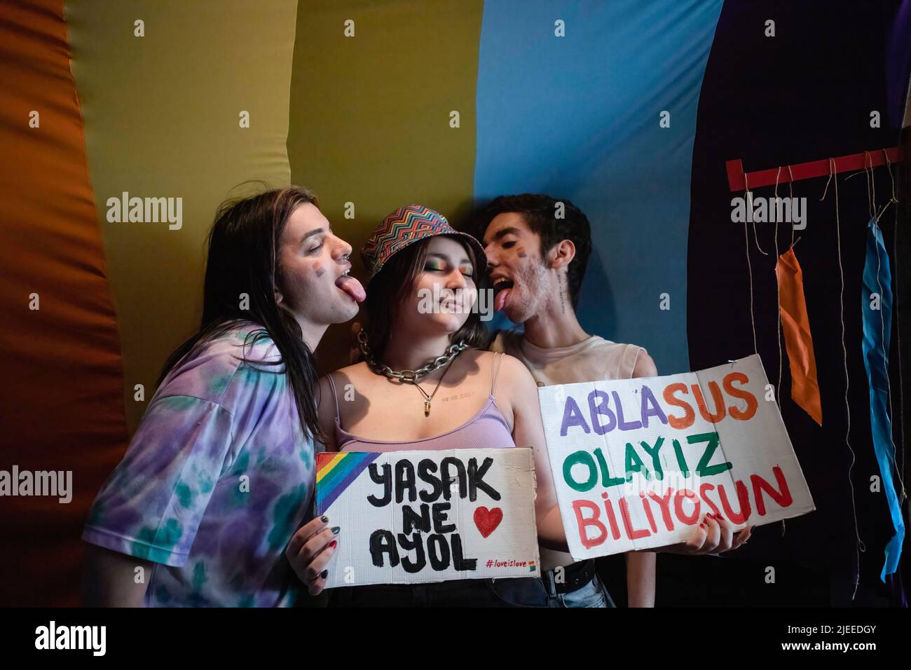 Istanbul, Turkey. 26th June, 2022. Activists with placards pose next to ...