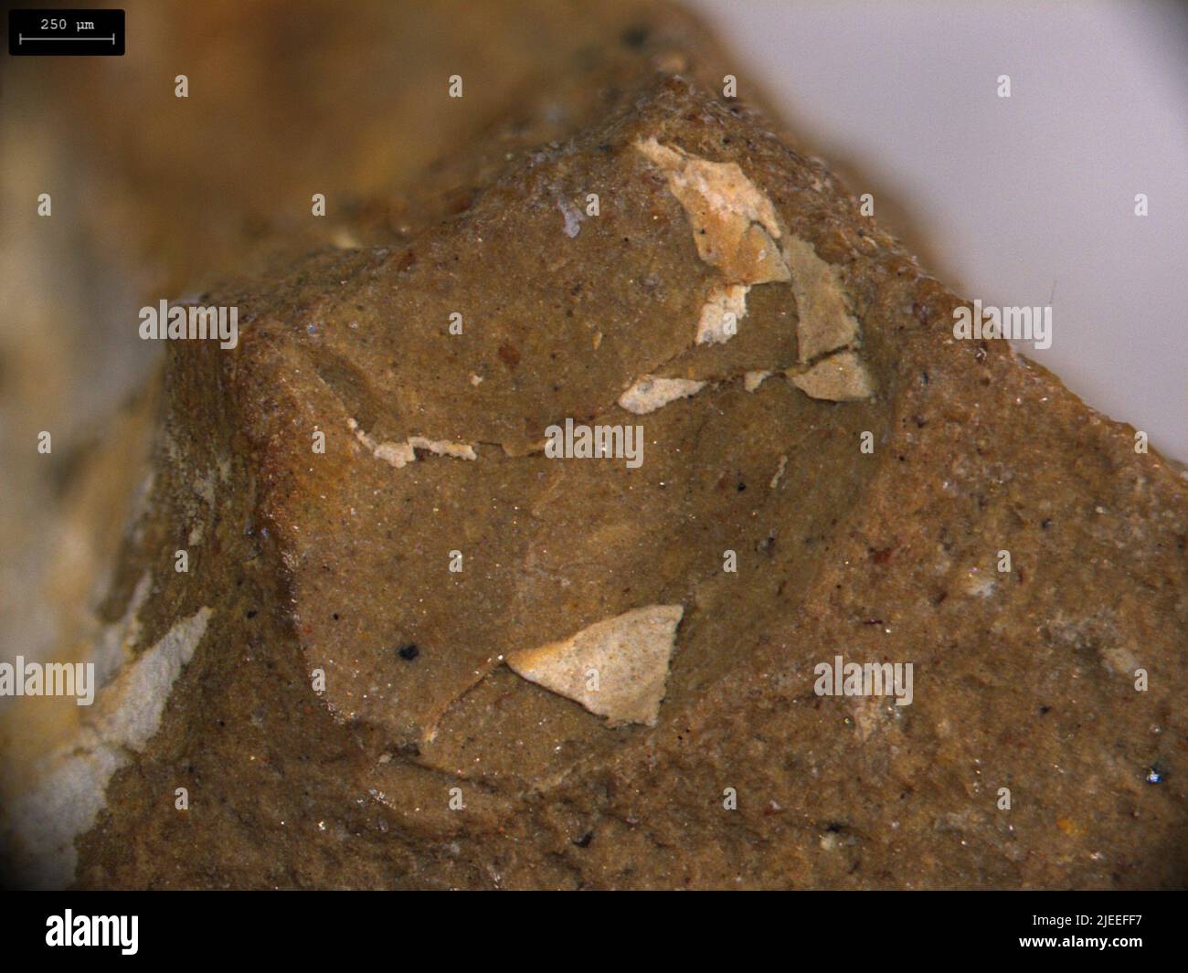 Stigall hi-res stock photography and images - Alamy