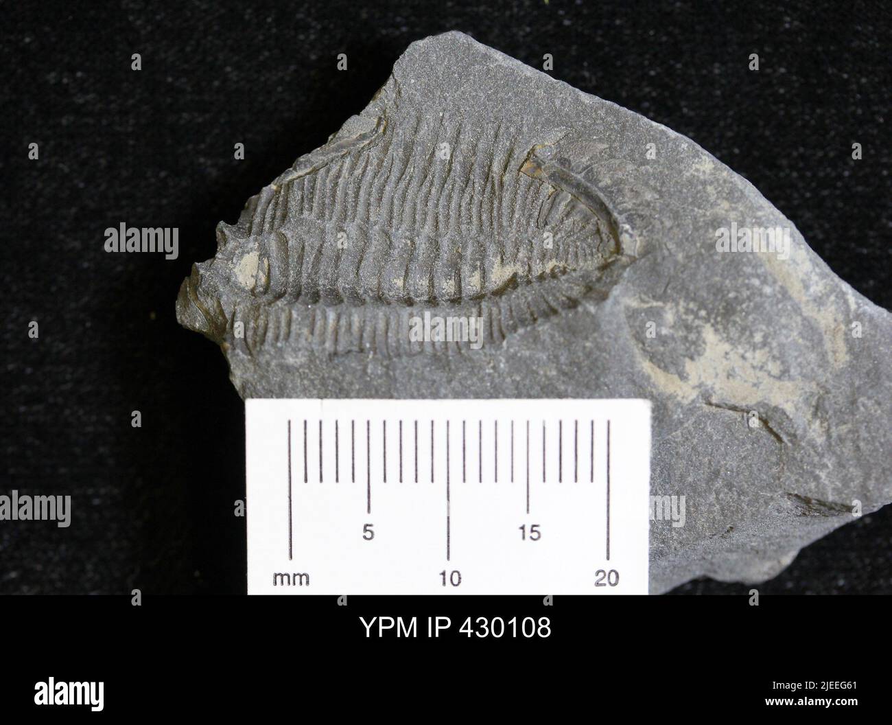 Boothi hi-res stock photography and images - Alamy