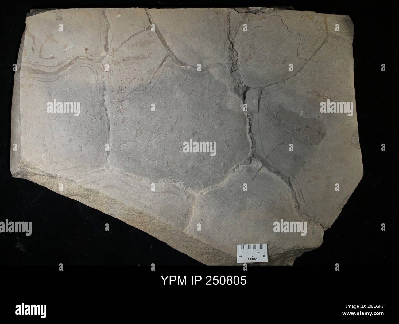 Application of road salt hi-res stock photography and images - Alamy