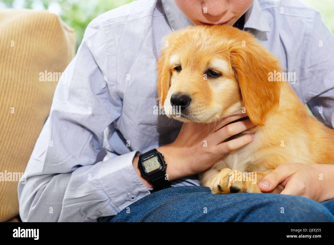 Happy cute puppy resting in the arms of a child, a dream come true ...